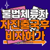 불법체류자 단속 강제퇴거 출국명령 및 자진출국 후 결혼비자 허가 재입국사례 모음 네이버 블로그